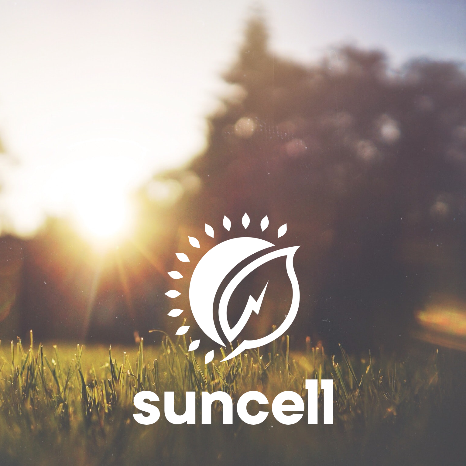 Suncell - Installateur photovoltaïque, batteries et bornes